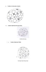 Pengertian Sel : Fungsi, Struktur, Contoh dan Bagian Sel [Lengkap ...