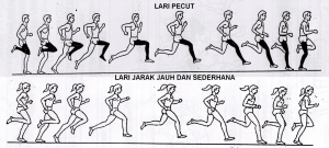 Apa Itu Pace Dalam Lari dan Pentingnya untuk Pemula - Daily Nusantara