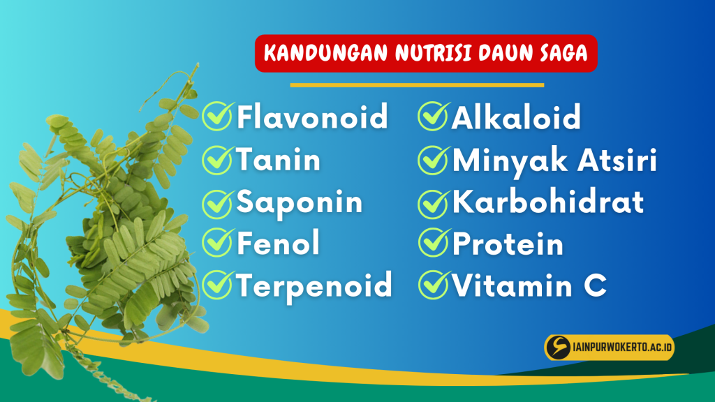 Manfaat Daun Saga untuk Kesehatan dan Kecantikan yang Perlu Anda ...